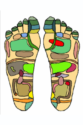 HLC Massage Therapy & Colon Hydrotherapy – Penny Arblaster, L.M.T., C.T.